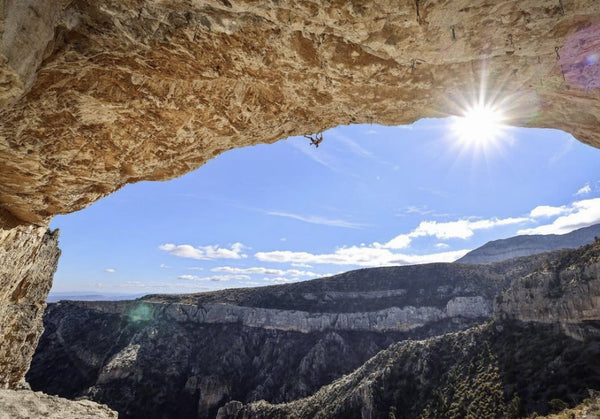 Training eBook by Eric Horst - PhysiVāntage®