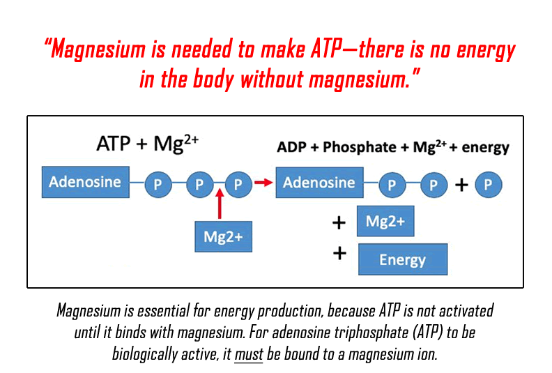 Mag-ATP™ - Cellular Energy System Support (Magnesium Malate 1000mg ...